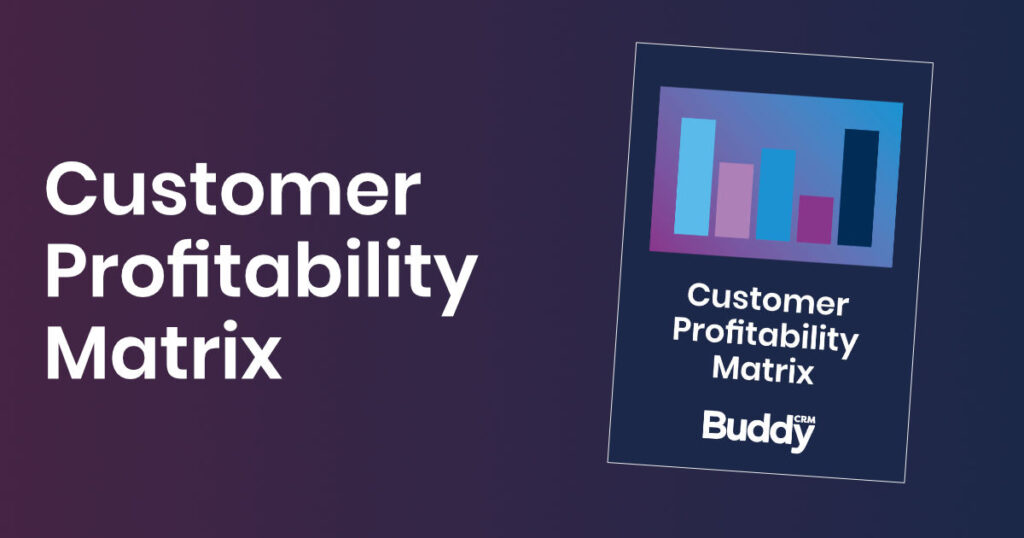 Customer Profitability Matrix - BuddyCRM